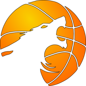 Teams - St Clair Wolves